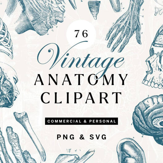 Mockupie - Digital Creative Marketplace